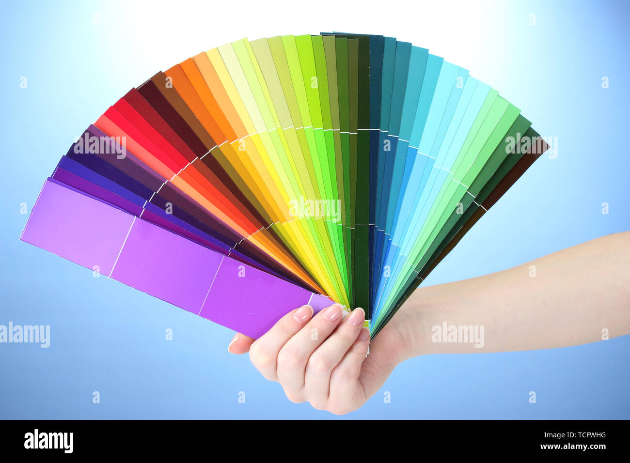 hand holding bright palette of colors on blue background Stock Photo ...