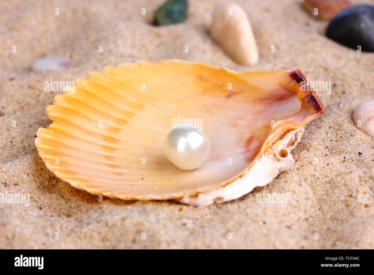 Sea shell with pearl on sand Stock Photo - Alamy