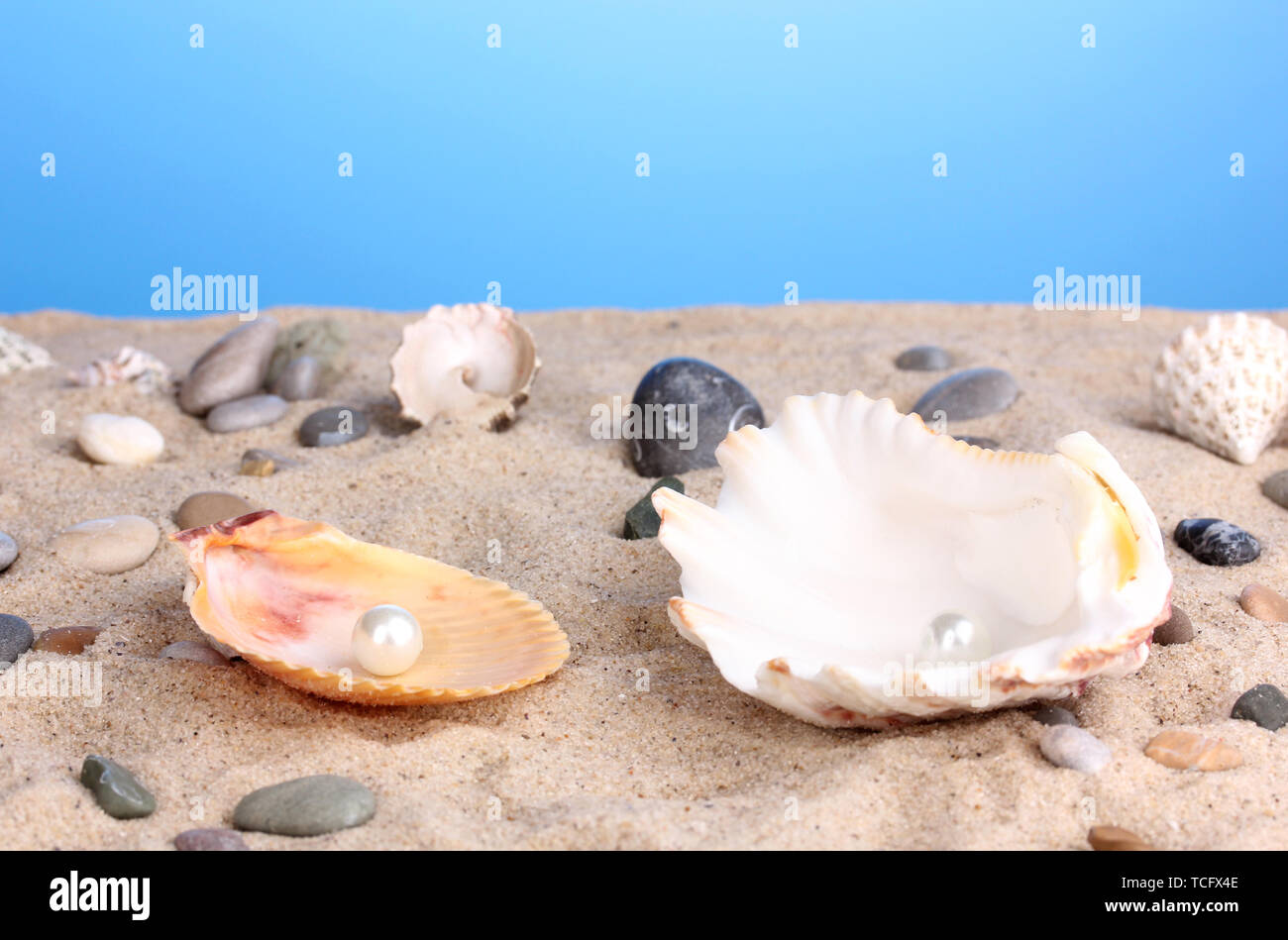Shells sea beach sand shore pearl hi-res stock photography and images ...