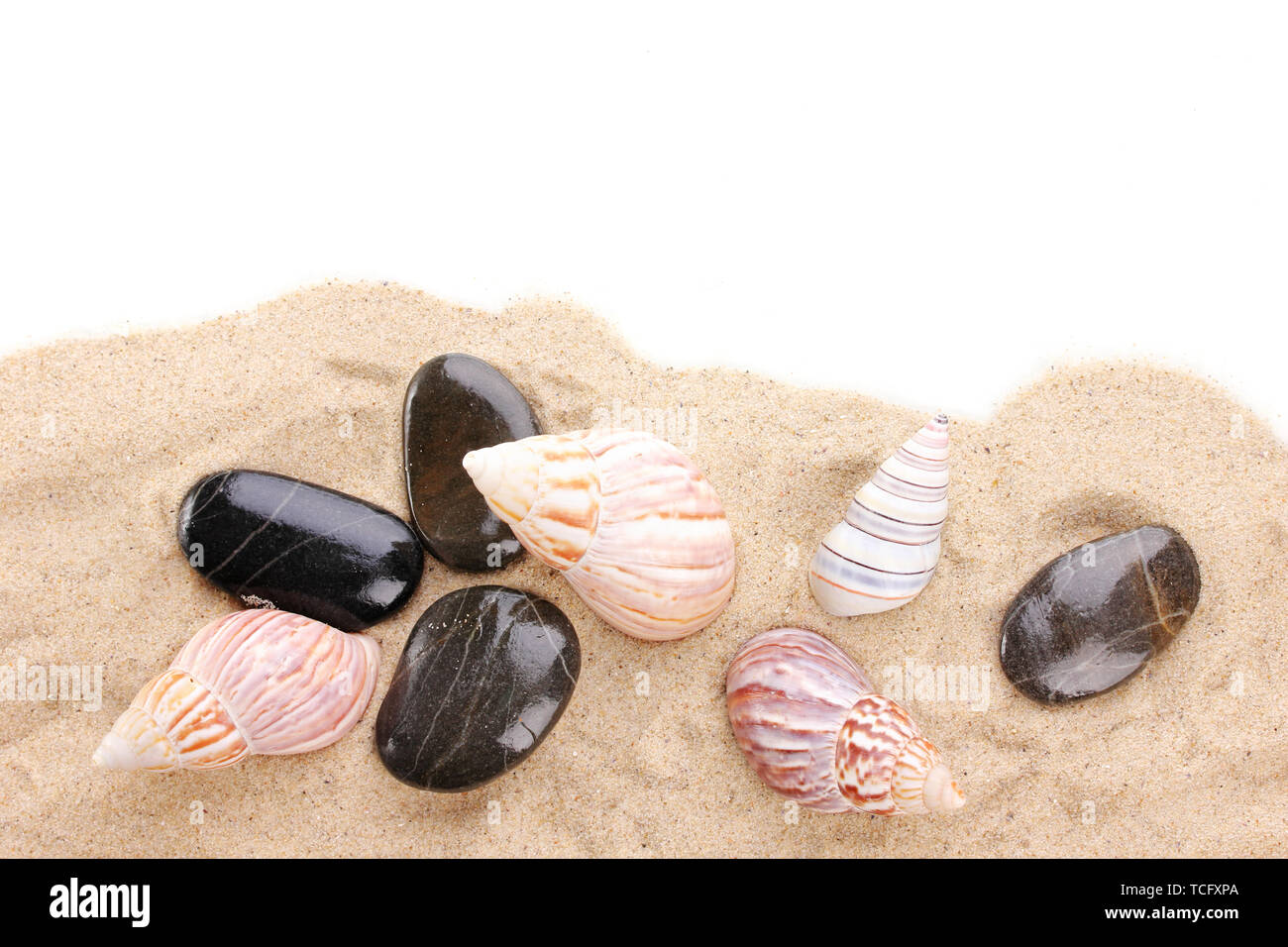 Seashells and stones on sand Stock Photo - Alamy