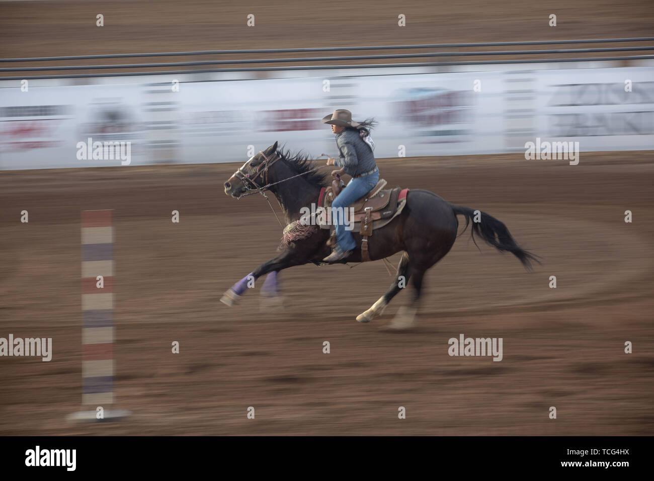 Rodeo Pole Racing High Resolution Stock Photography and Images - Alamy