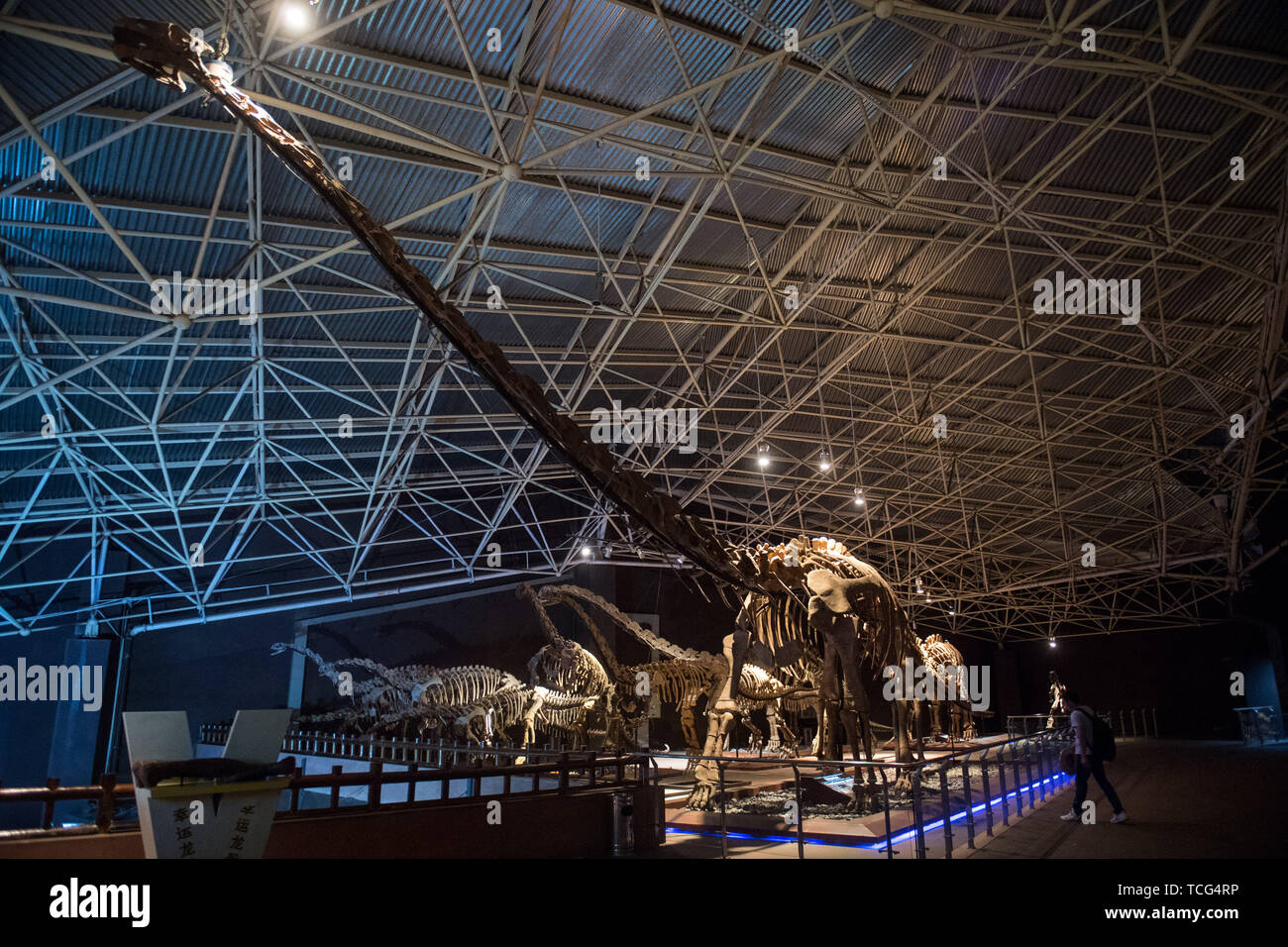 Lufeng county hi-res stock photography and images - Alamy