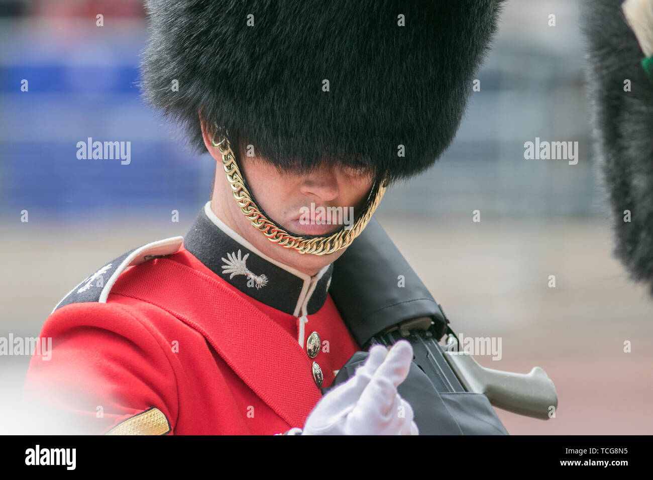 1st Battalion Grenadier Guards Stock Photos & 1st Battalion Grenadier ...