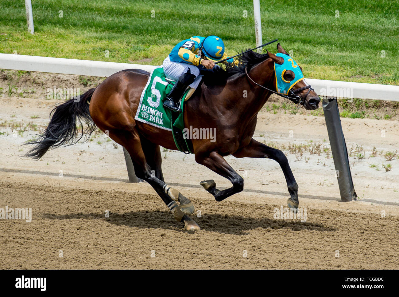 Easy goer thoroughbred hi-res stock photography and images - Alamy