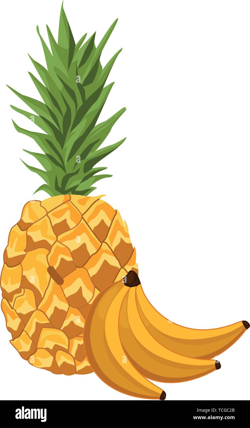 Pineapple and banana tropical fruits Stock Vector Image & Art - Alamy
