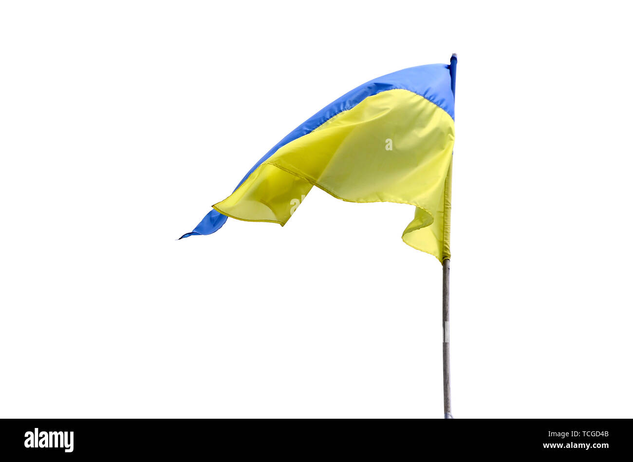 Ukrainian flag fluttering in the wind against white background ...
