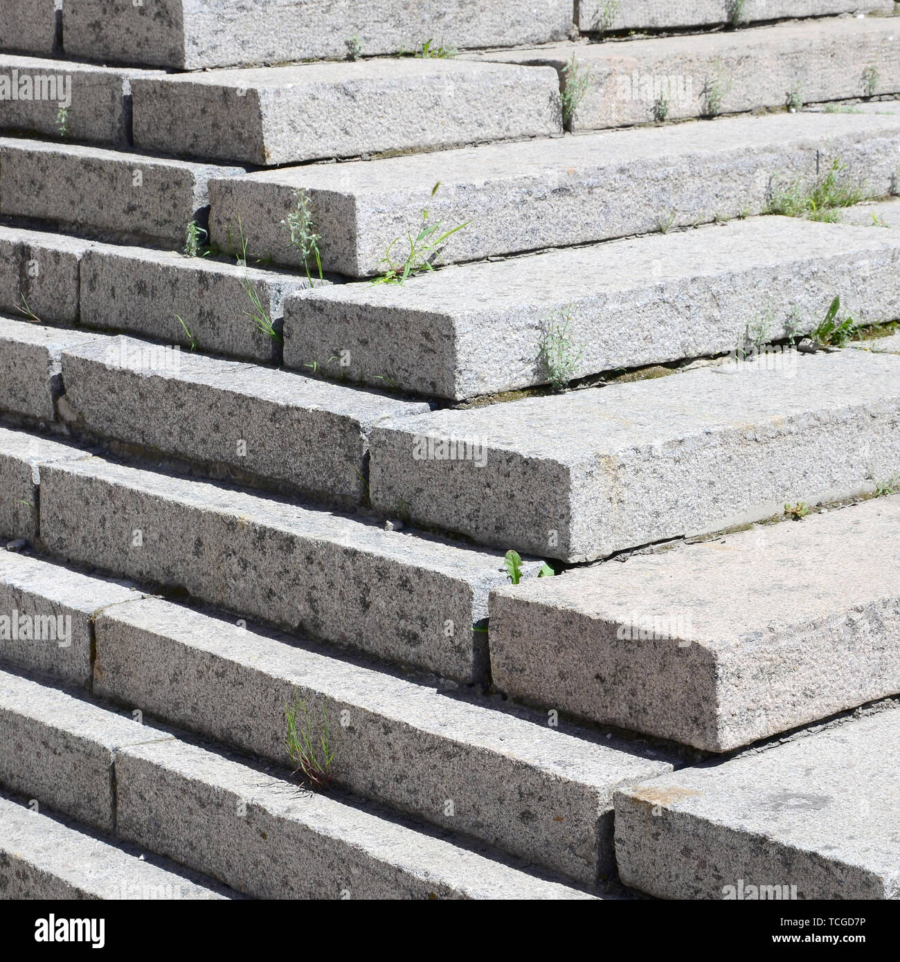 Stair concrete staircase at the entrance to the building. Concrete ...
