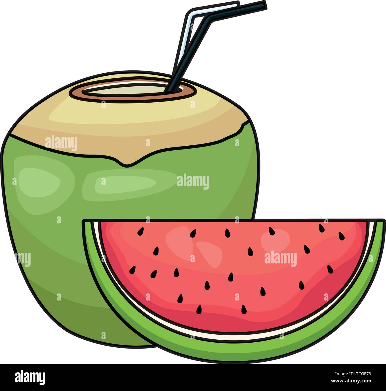 Coconut cocktail and watermelon sliced fruit Stock Vector Image & Art ...