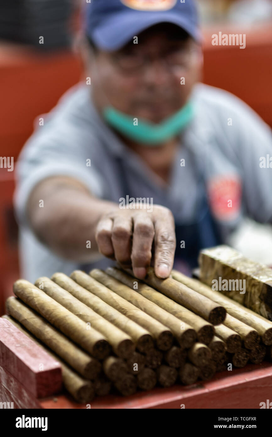 A cigar roller called a torcedor stacks completed fine cigars at the ...
