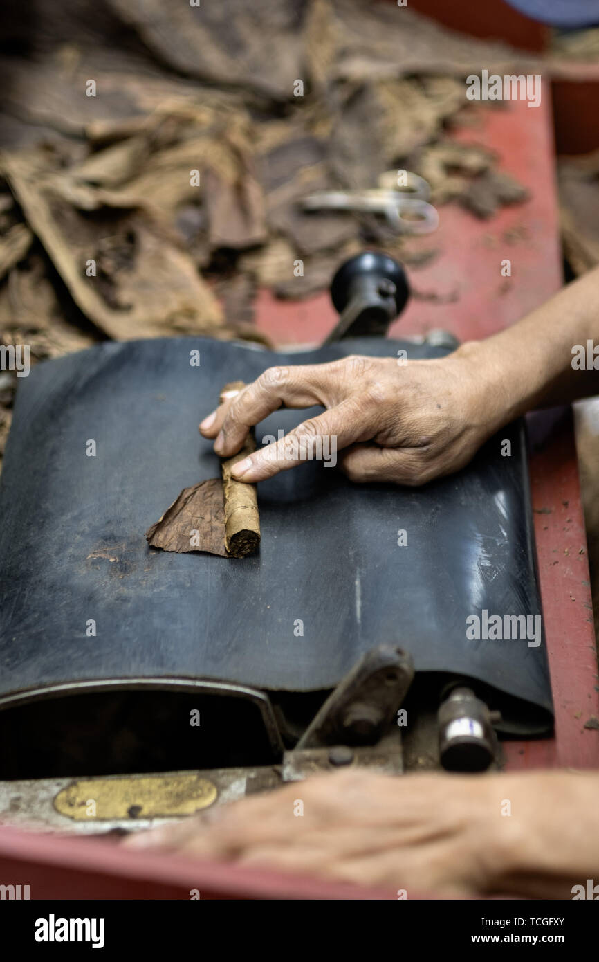 A cigarmaker called a torcedor finishes rolling the leaf wrapper of a ...