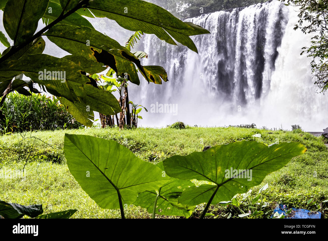 The massive Eyipantla Falls where the Catemaco River drops 50-meters to ...