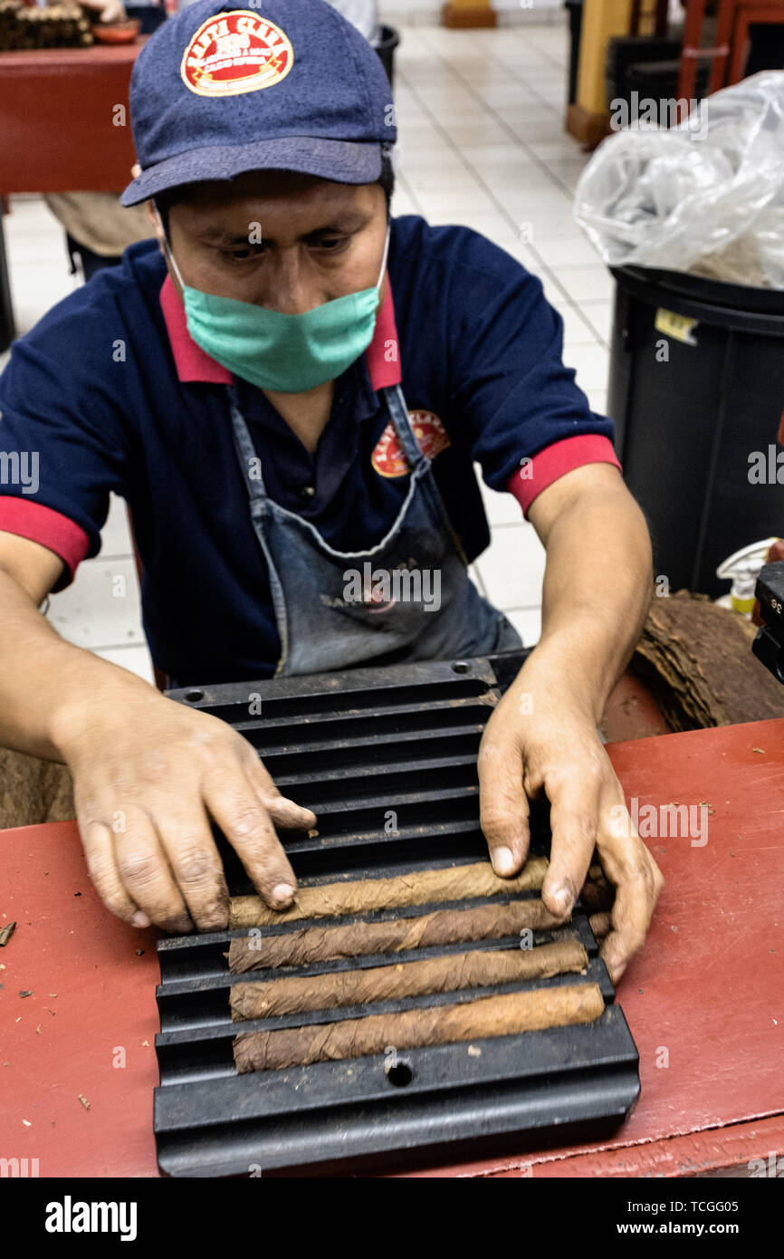 Mold for cigars hi-res stock photography and images - Alamy