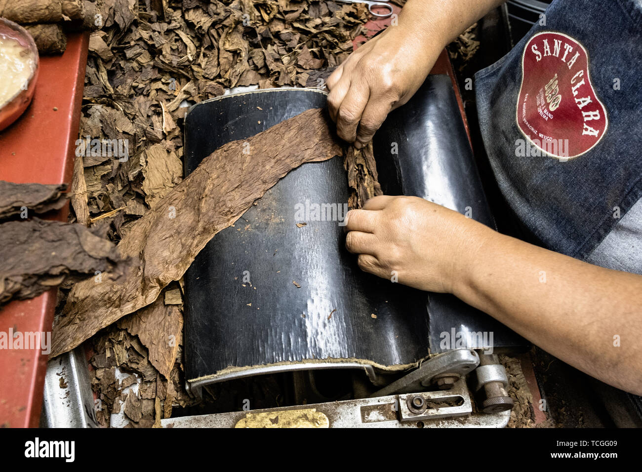 A cigarmaker called a torcedor finishes rolling the leaf wrapper of a ...