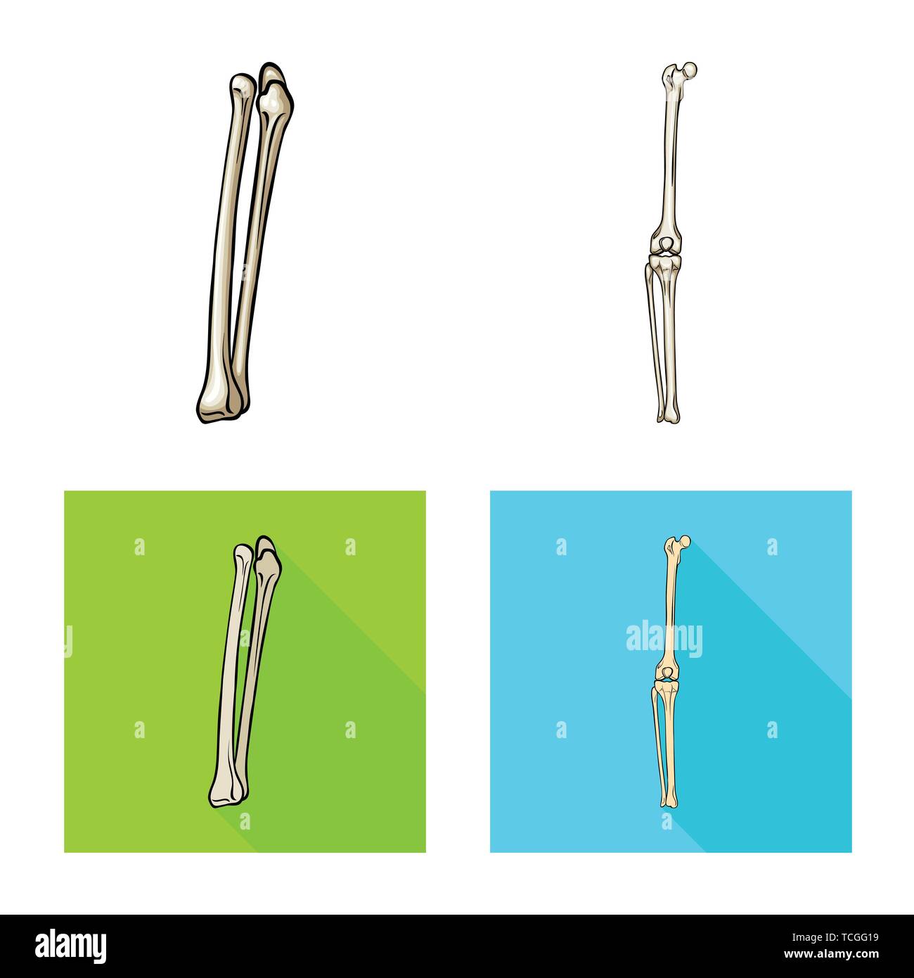 femur,knee,joint,leg,meniscus,body,tibia,foot,fibula,alignment,surgery ...