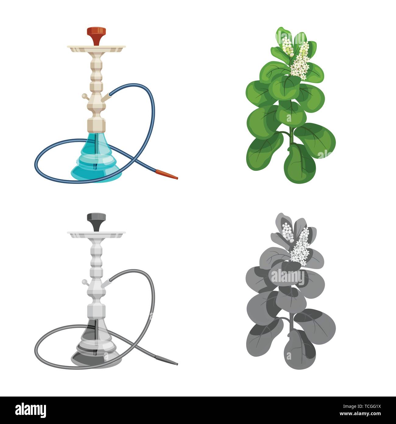 hookah,leaves,shisha,leaf,bar,agriculture,accessory,botanical,arabic ...