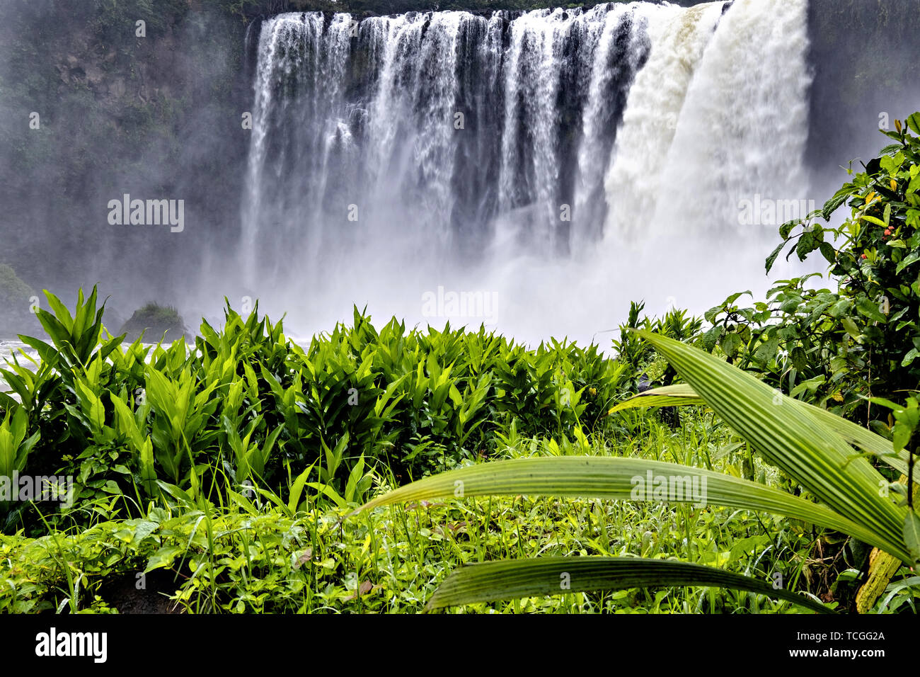 The massive Eyipantla Falls where the Catemaco River drops 50-meters to ...