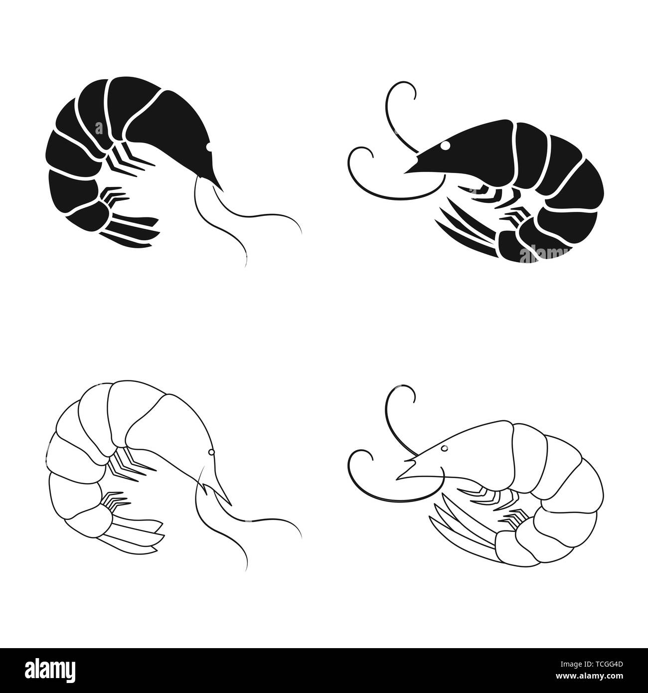 prawn,creature,raw,boiled,fresh,cooked,restaurant,luxury,underwater ...