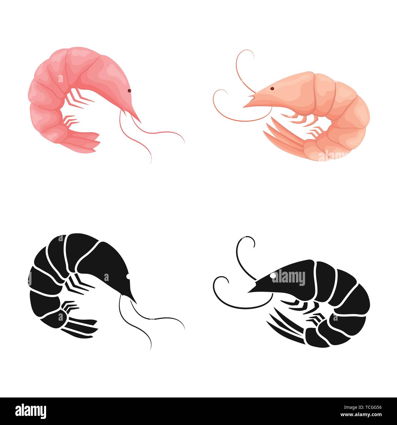 prawn,creature,raw,boiled,fresh,cooked,restaurant,luxury,underwater ...