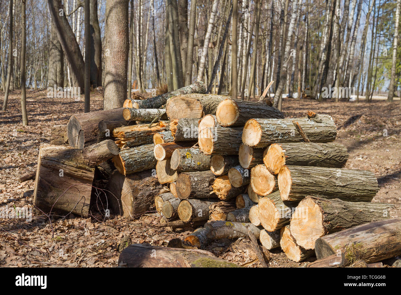Firewood energy hi-res stock photography and images - Alamy