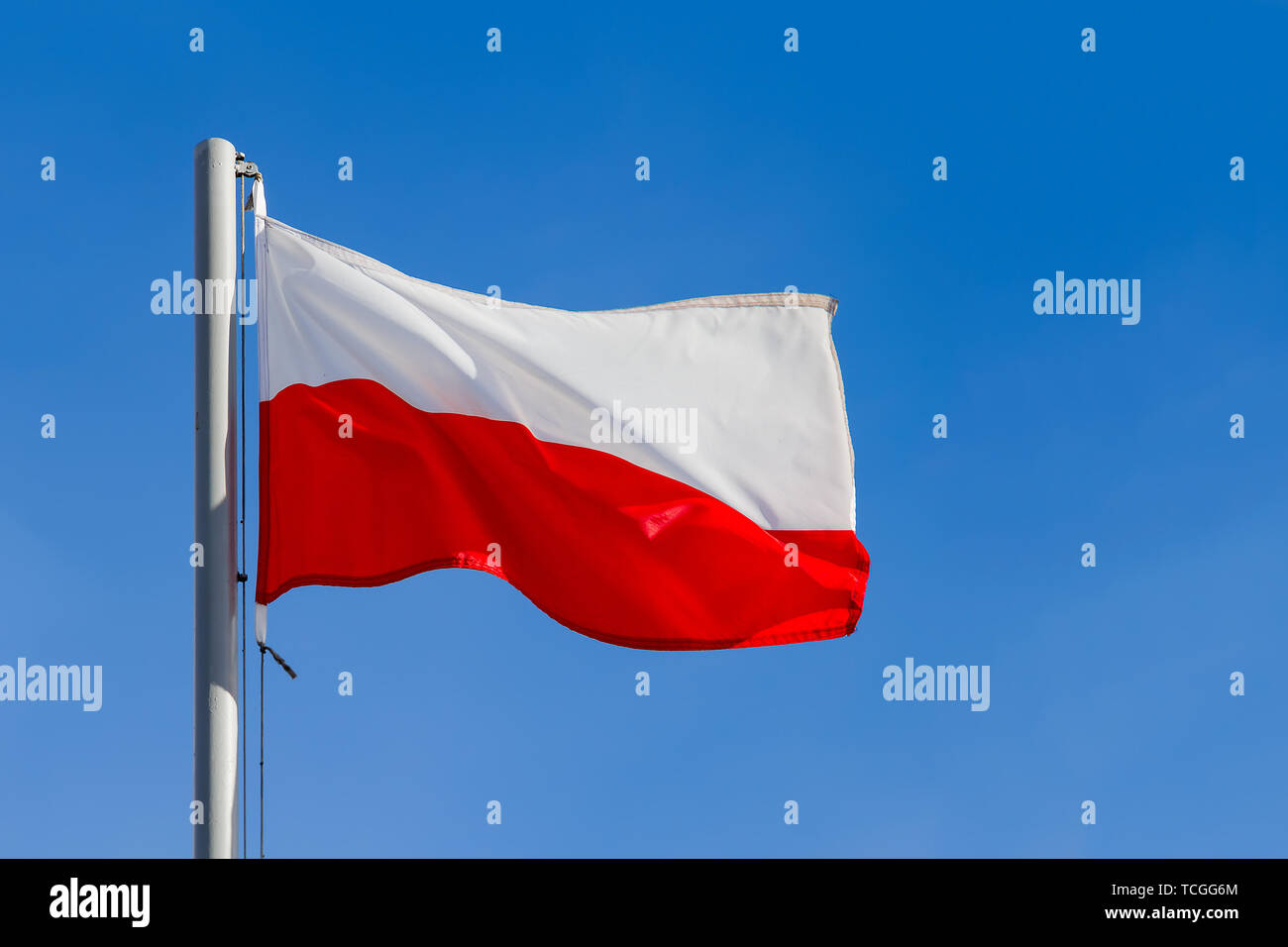 Waving polish flag hi-res stock photography and images - Alamy