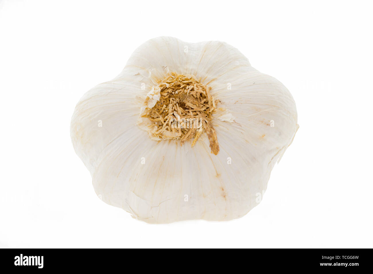 Garlic knob hi-res stock photography and images - Alamy