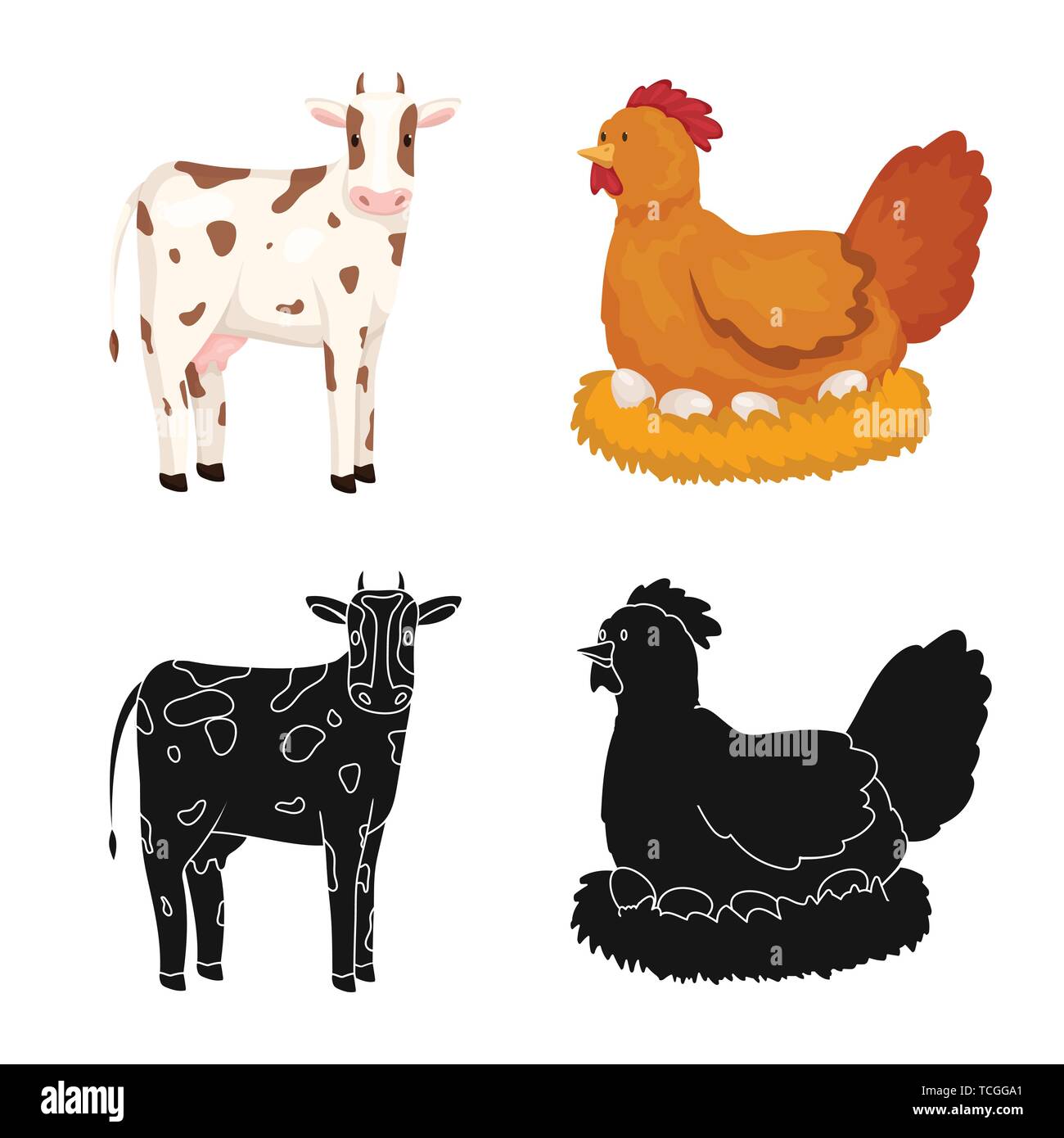 cow,hen,calf,bird,animal,funny,milk,egg,cattle,beef,fowl,meat,poultry ...