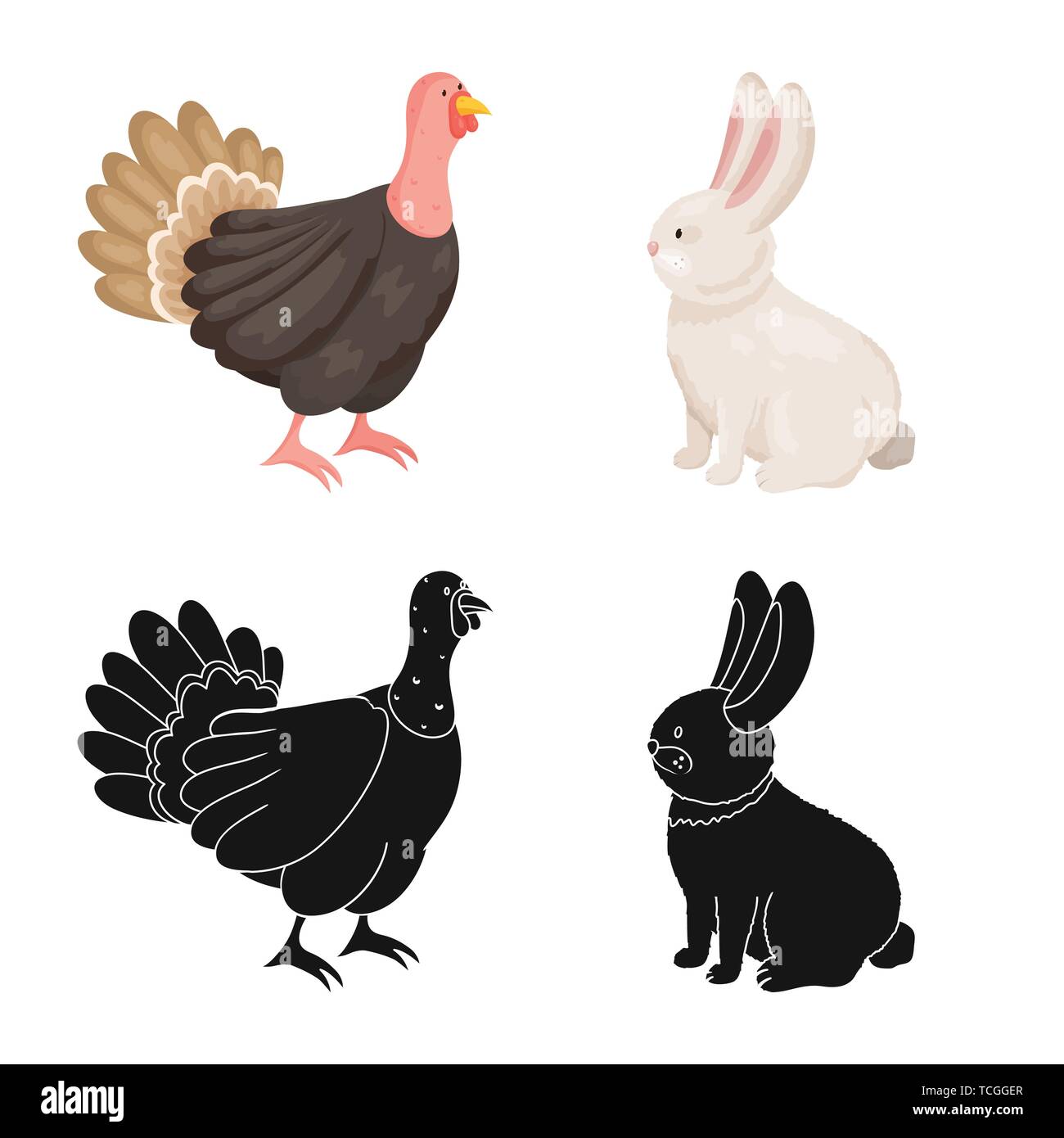 turkey,rabbit,bird,pet,funny,animal,thanksgiving,bunny,festival,meat ...