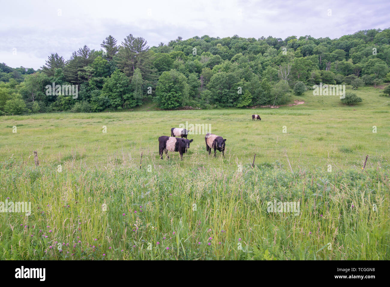 Driftless area hi-res stock photography and images - Alamy