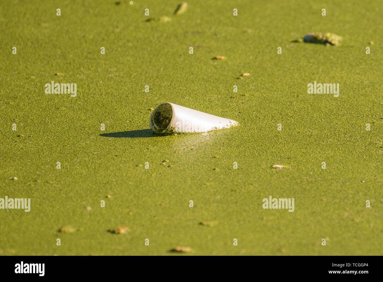 Holding pond hi-res stock photography and images - Alamy