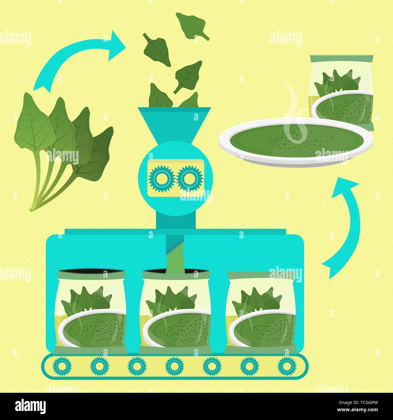 Vegetable processing line hi-res stock photography and images - Alamy
