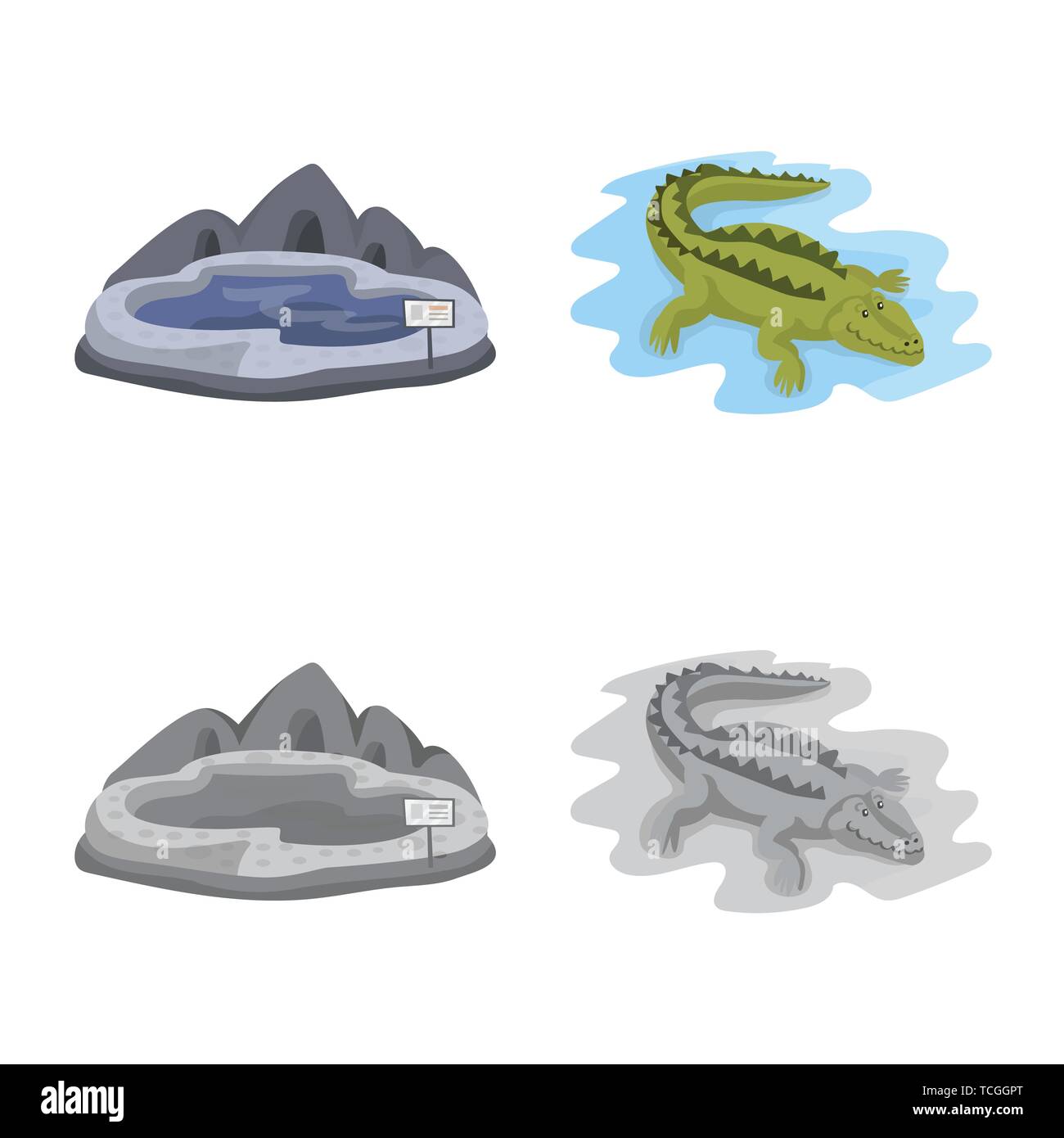 lake,crocodile,pool,alligator,water,Africa,stone,cute,swimming,jungle ...