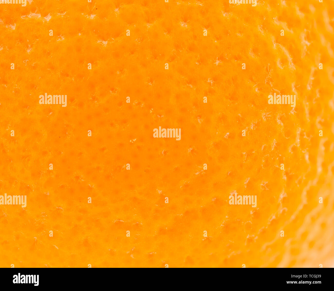 Detailed orange hi-res stock photography and images - Alamy