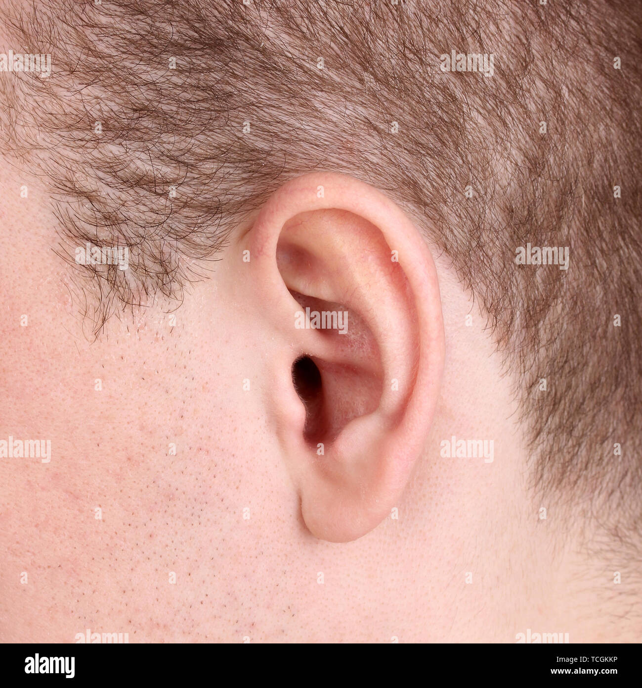 Human ear close-up isolated on white Stock Photo - Alamy
