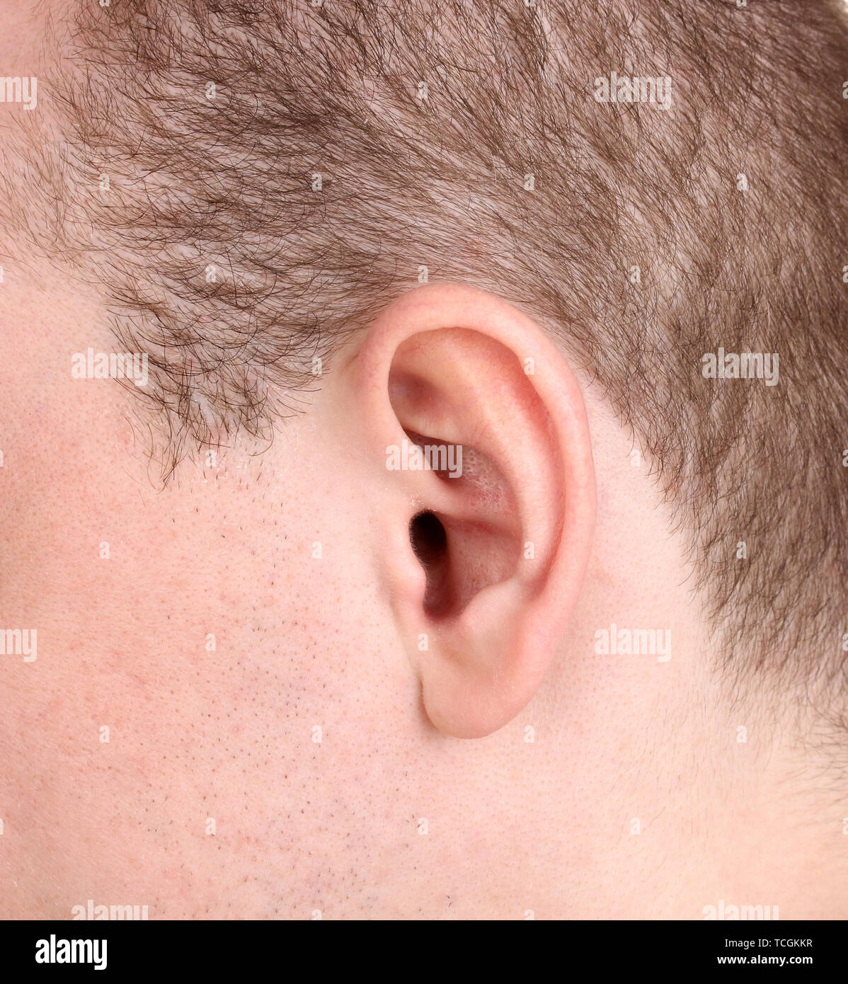 Human ear close-up isolated on white Stock Photo - Alamy