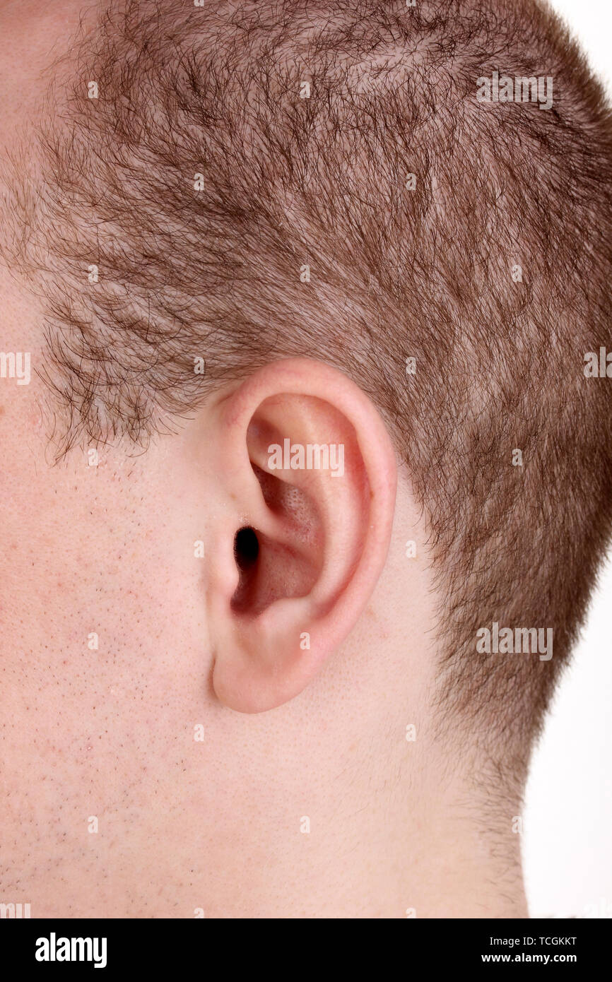 Human ear close-up isolated on white Stock Photo - Alamy