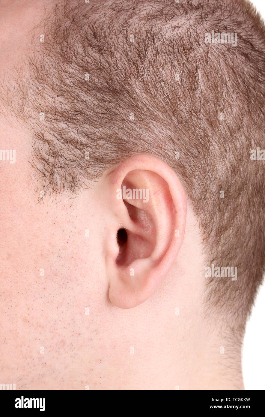 Human ear close-up isolated on white Stock Photo - Alamy