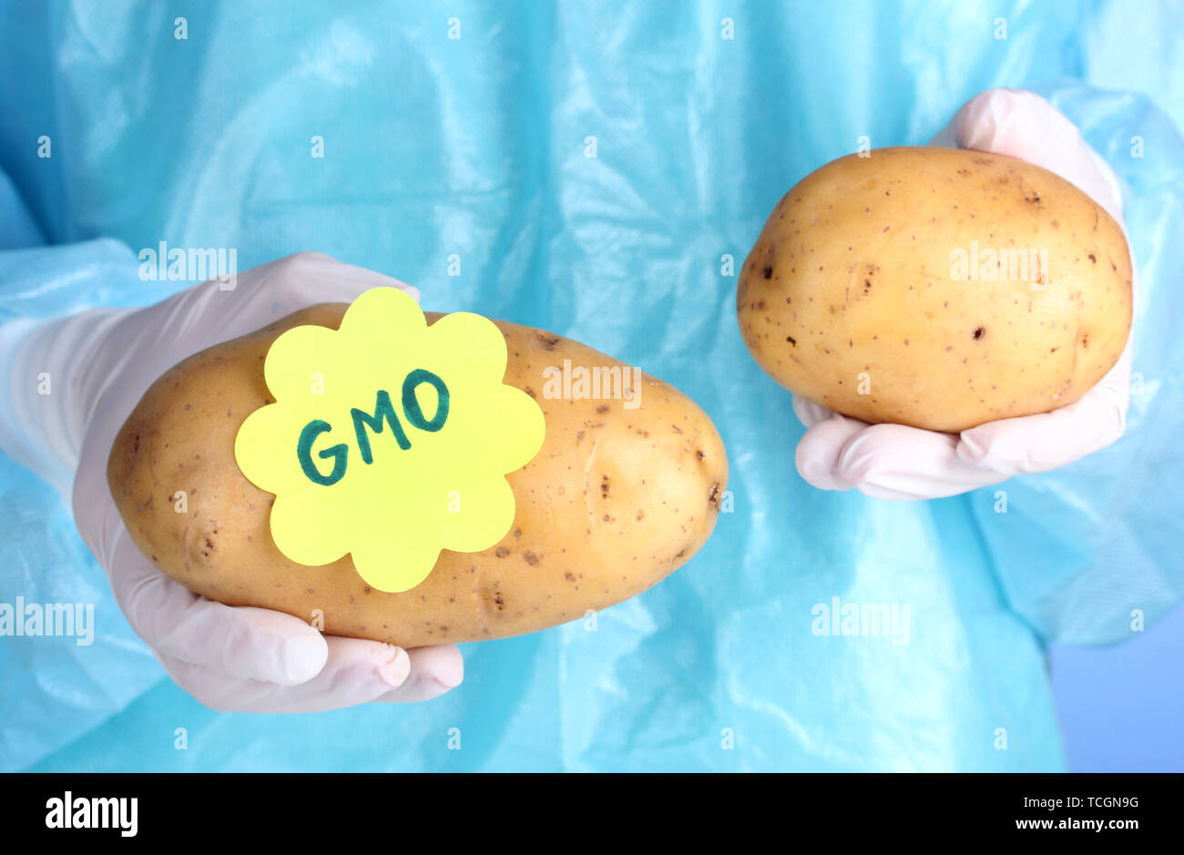 Genetically modified potato hi-res stock photography and images - Alamy