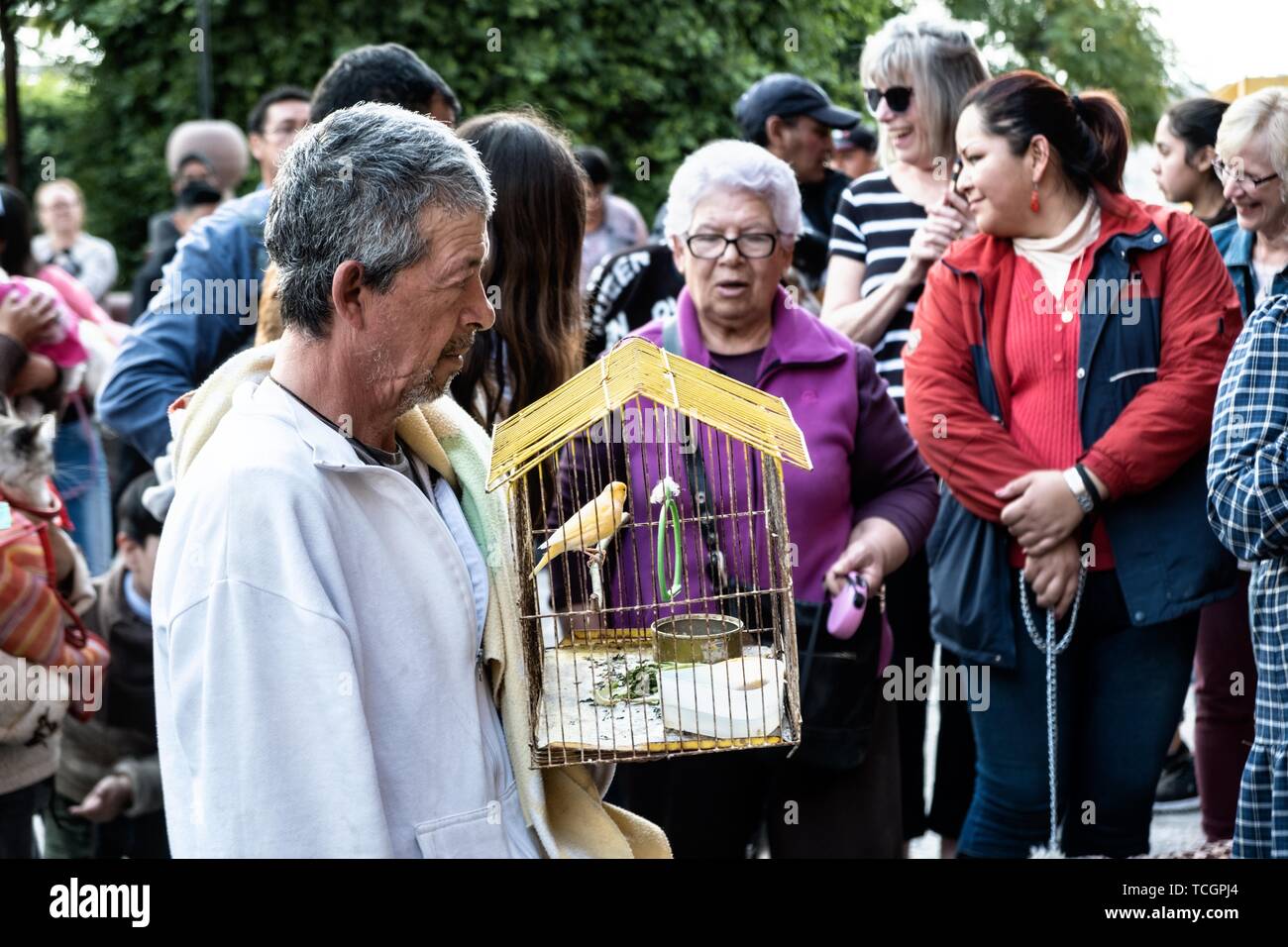 Mexicans wait with their pets for the annual blessing of the animals on ...