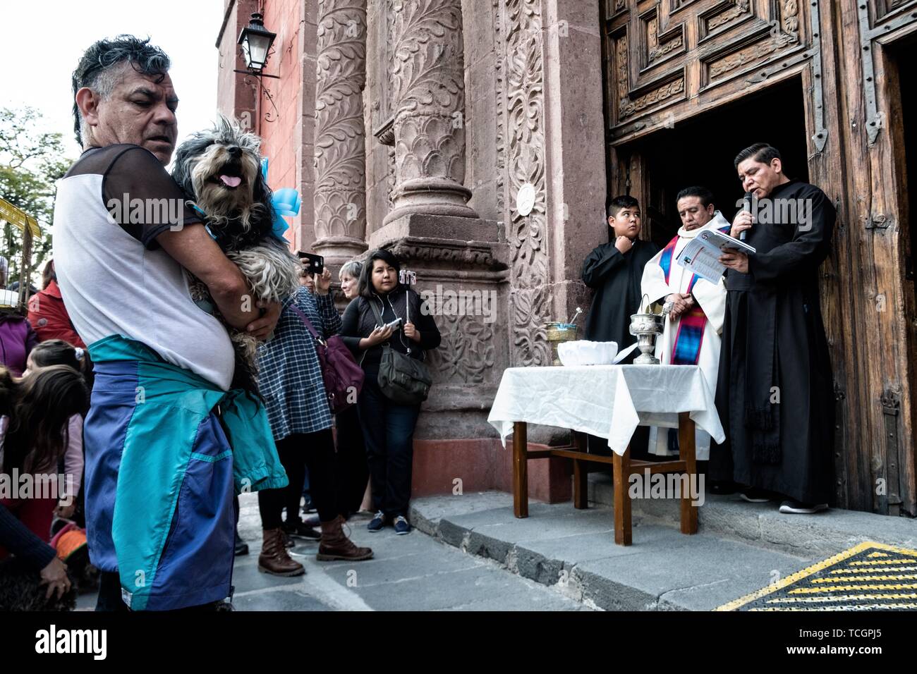 Mexicans wait with their pets for the annual blessing of the animals on ...