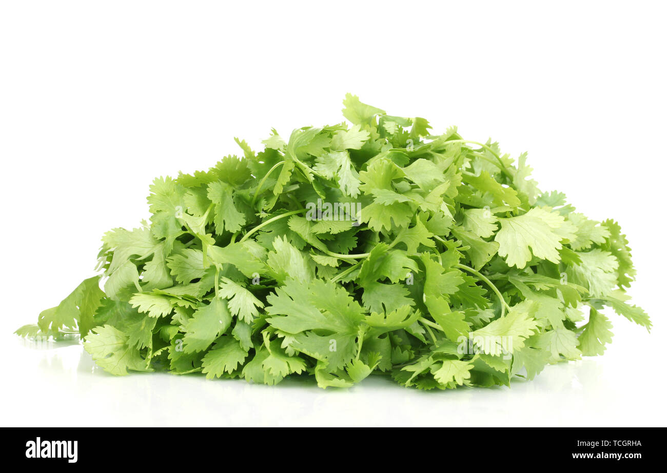 fresh coriander or cilantro isolated on white Stock Photo - Alamy