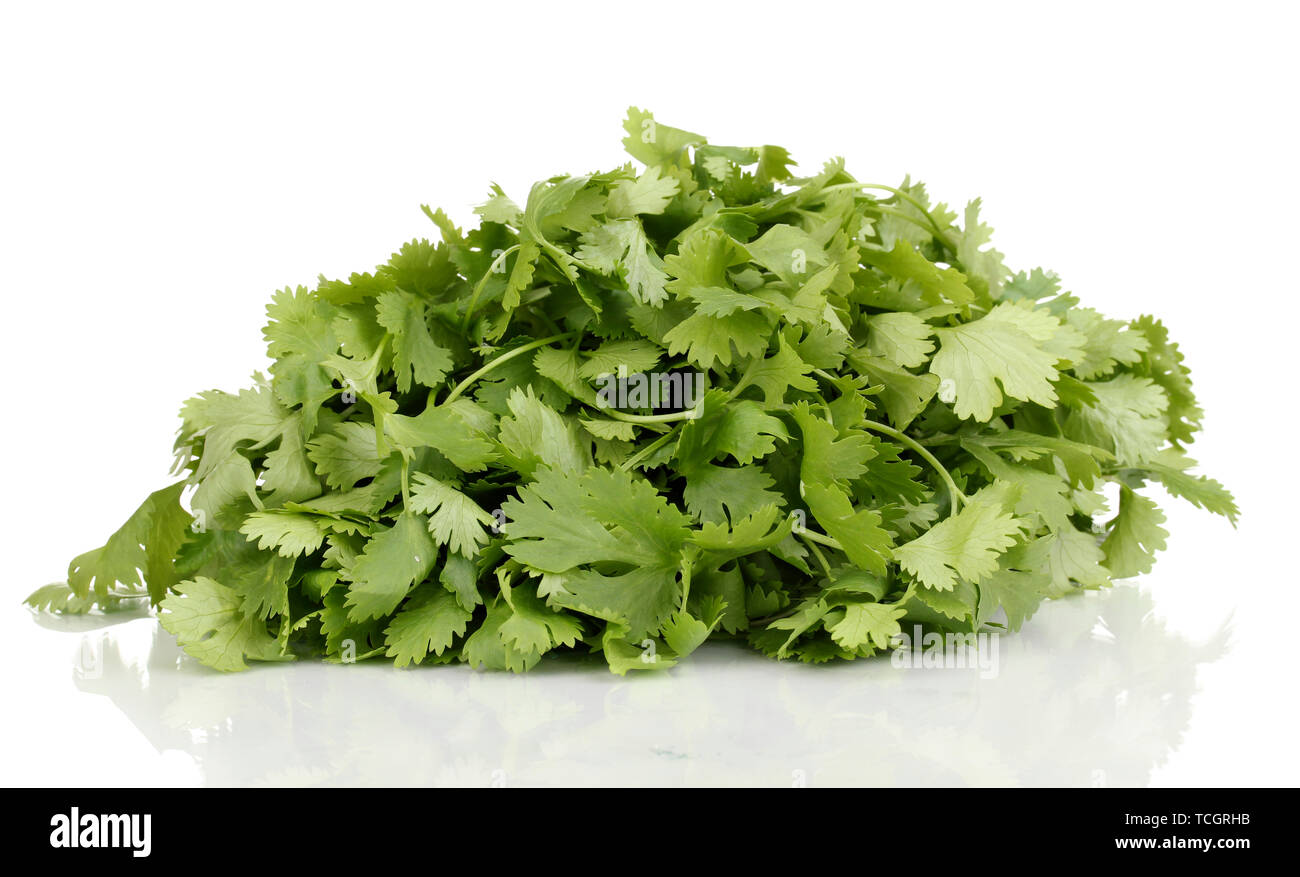 fresh coriander or cilantro isolated on white Stock Photo - Alamy