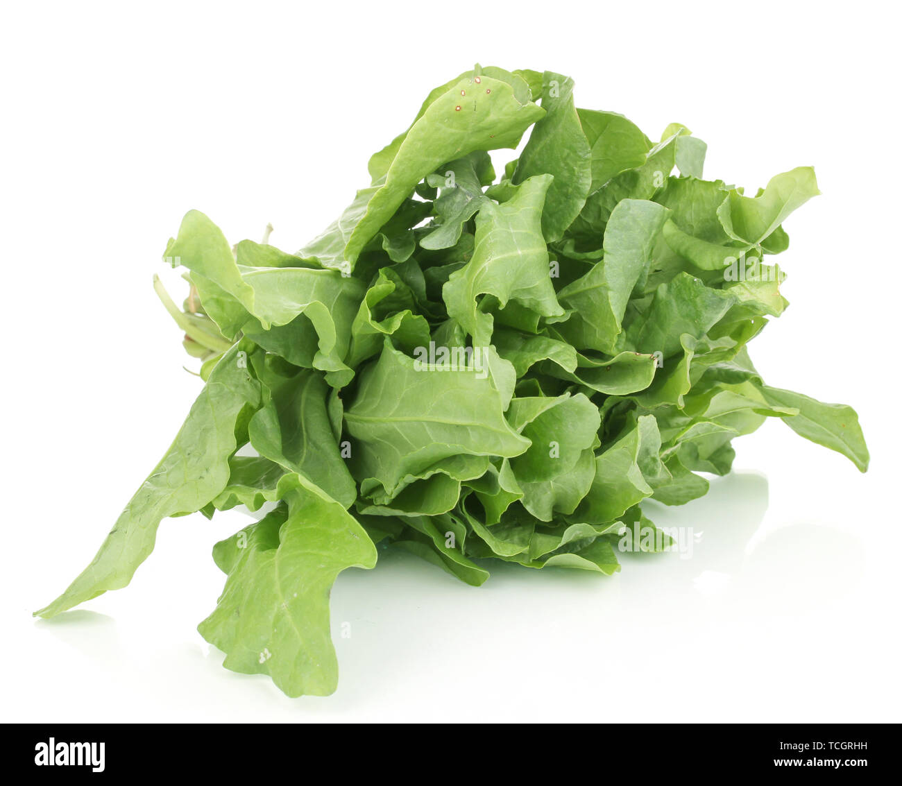 Fresh sorrel isolated on white Stock Photo - Alamy