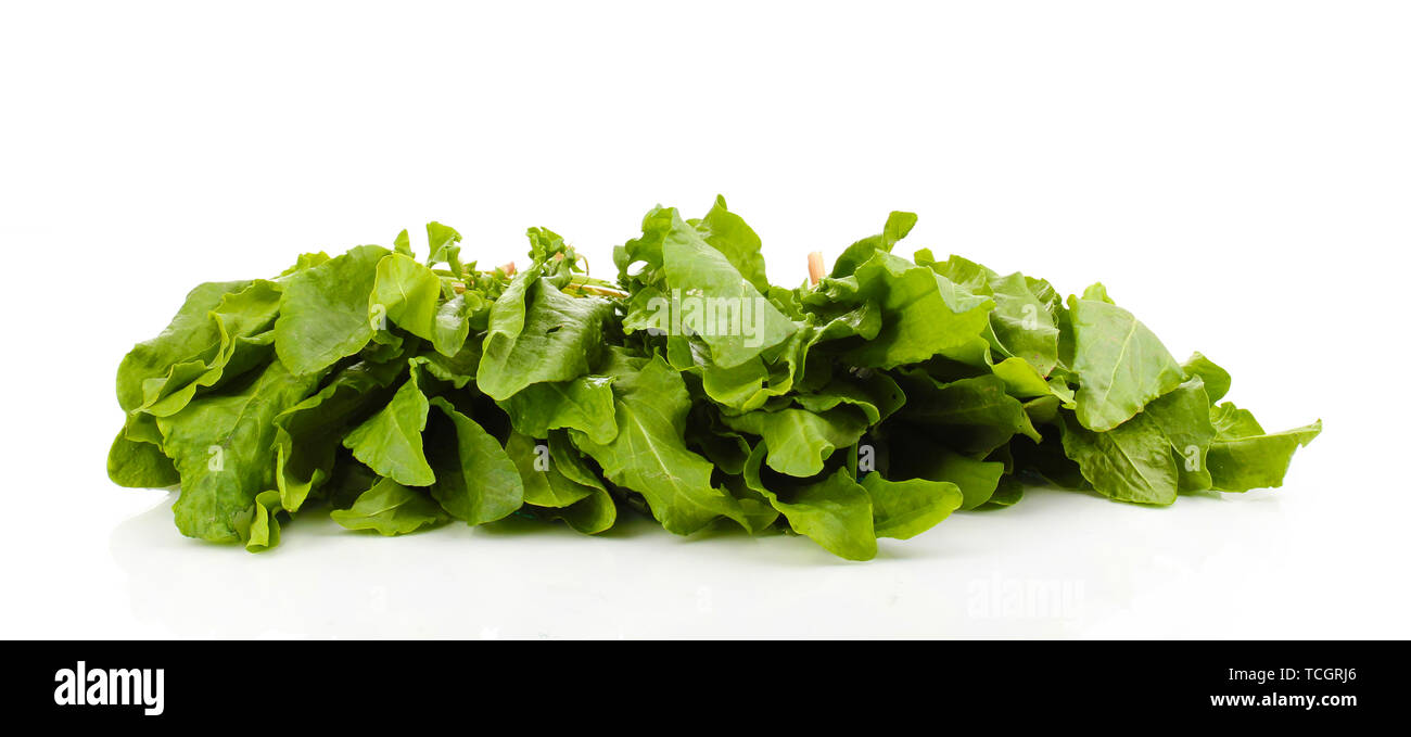 Fresh sorrel isolated on white Stock Photo - Alamy