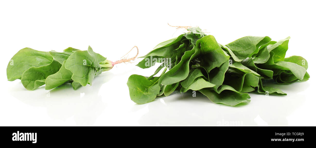 Fresh spinach isolated on white Stock Photo - Alamy