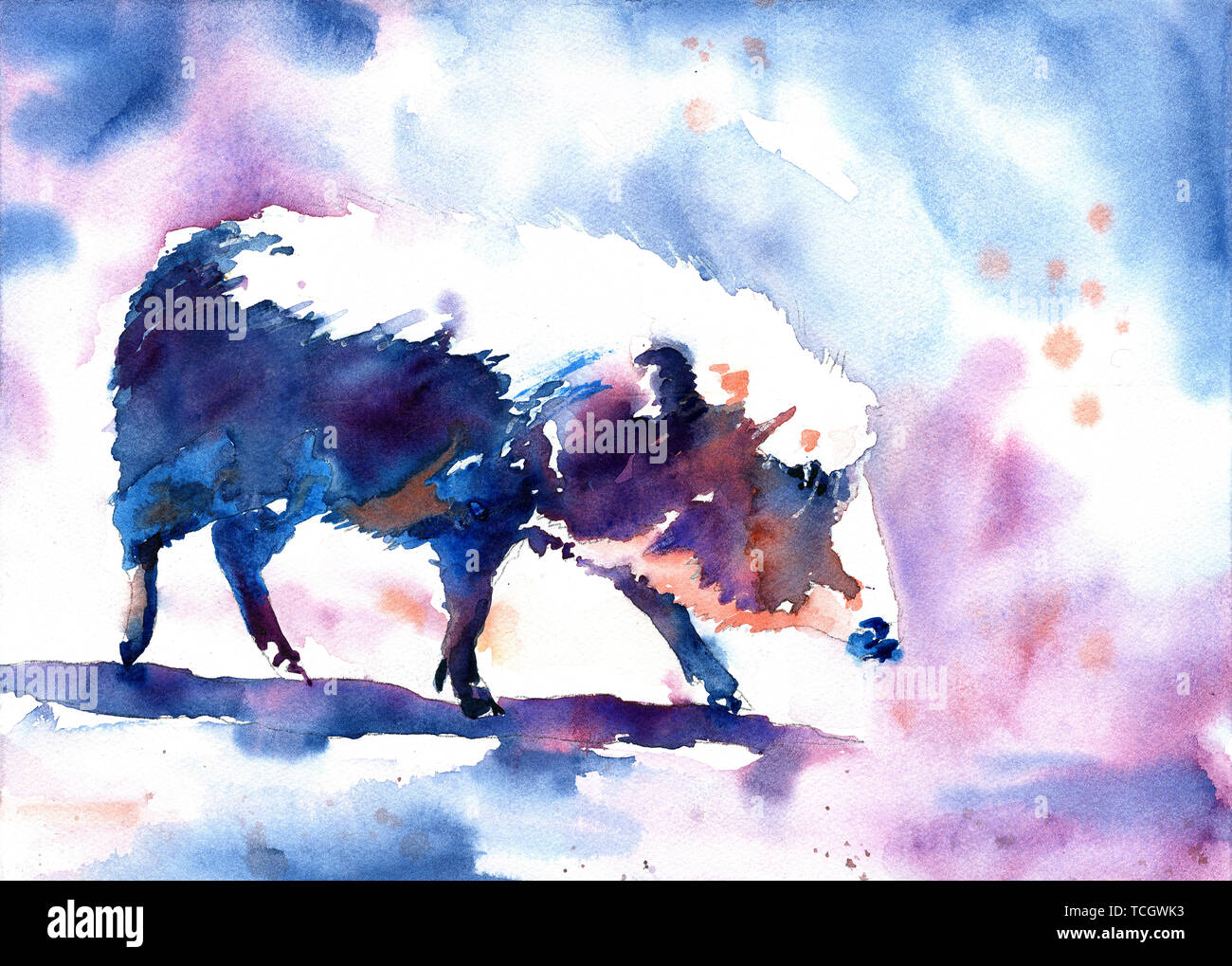Warthog colorful watercolor painting. Fine art painting of warthog ...