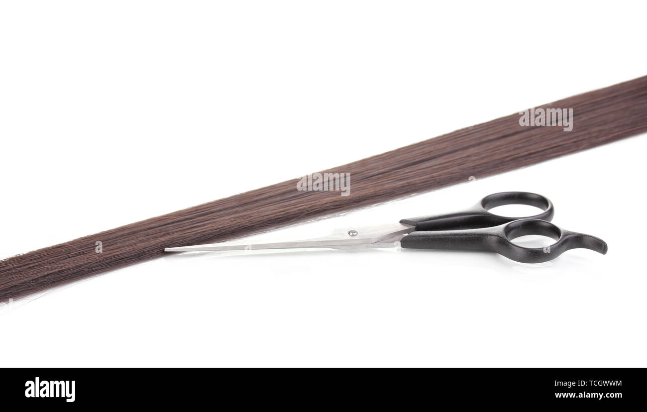 Shiny brown hair and hair cutting shears isolated on white Stock Photo ...