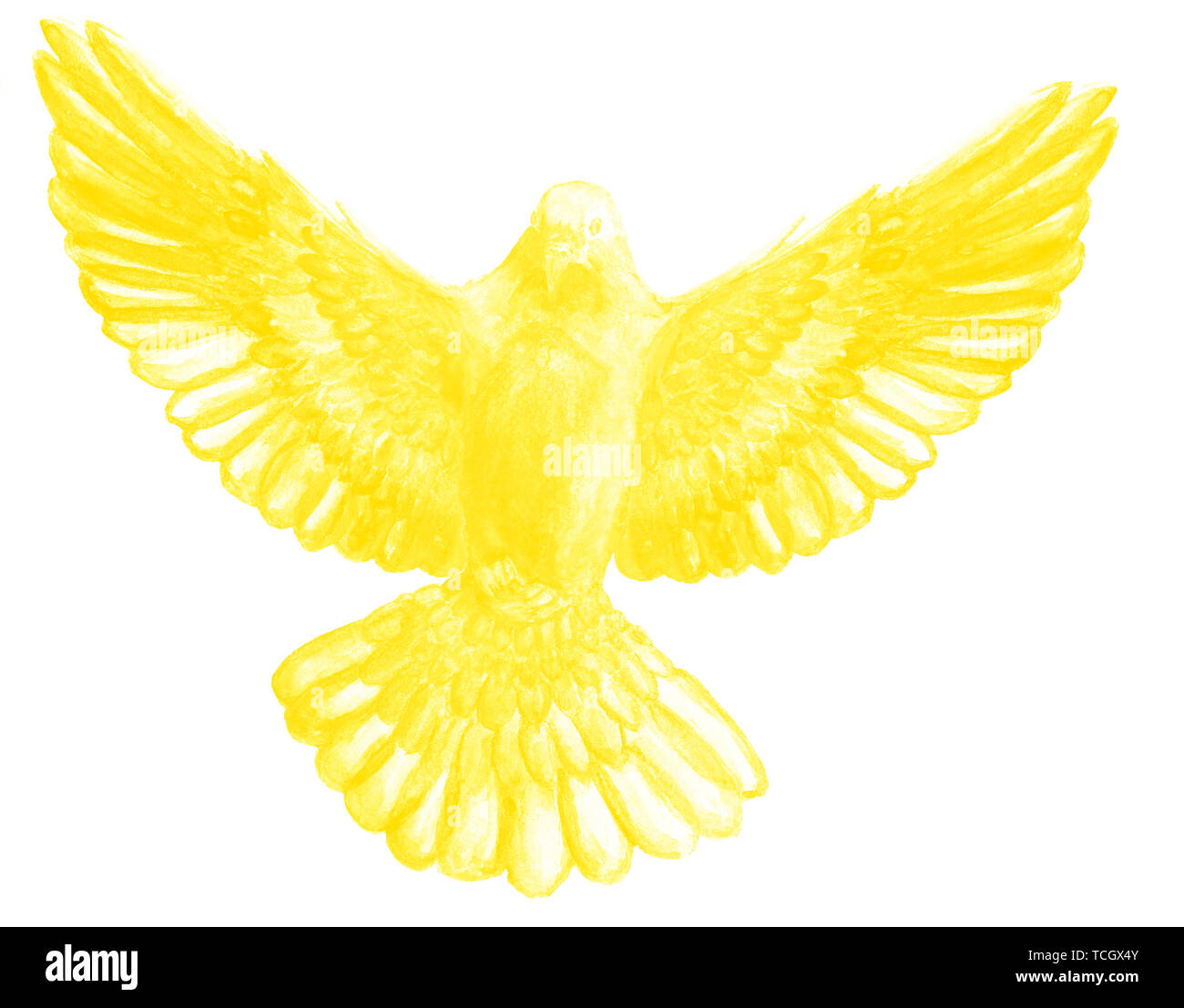 Watercolor and digital watercolor illustration of unicolor bird, pigeon ...