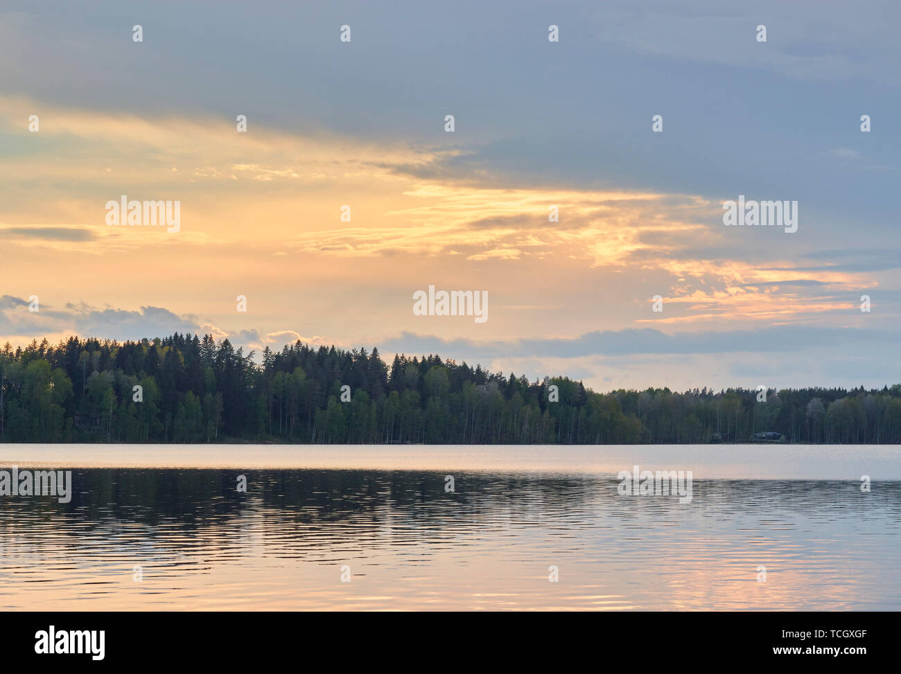Pond edge slope hi-res stock photography and images - Alamy