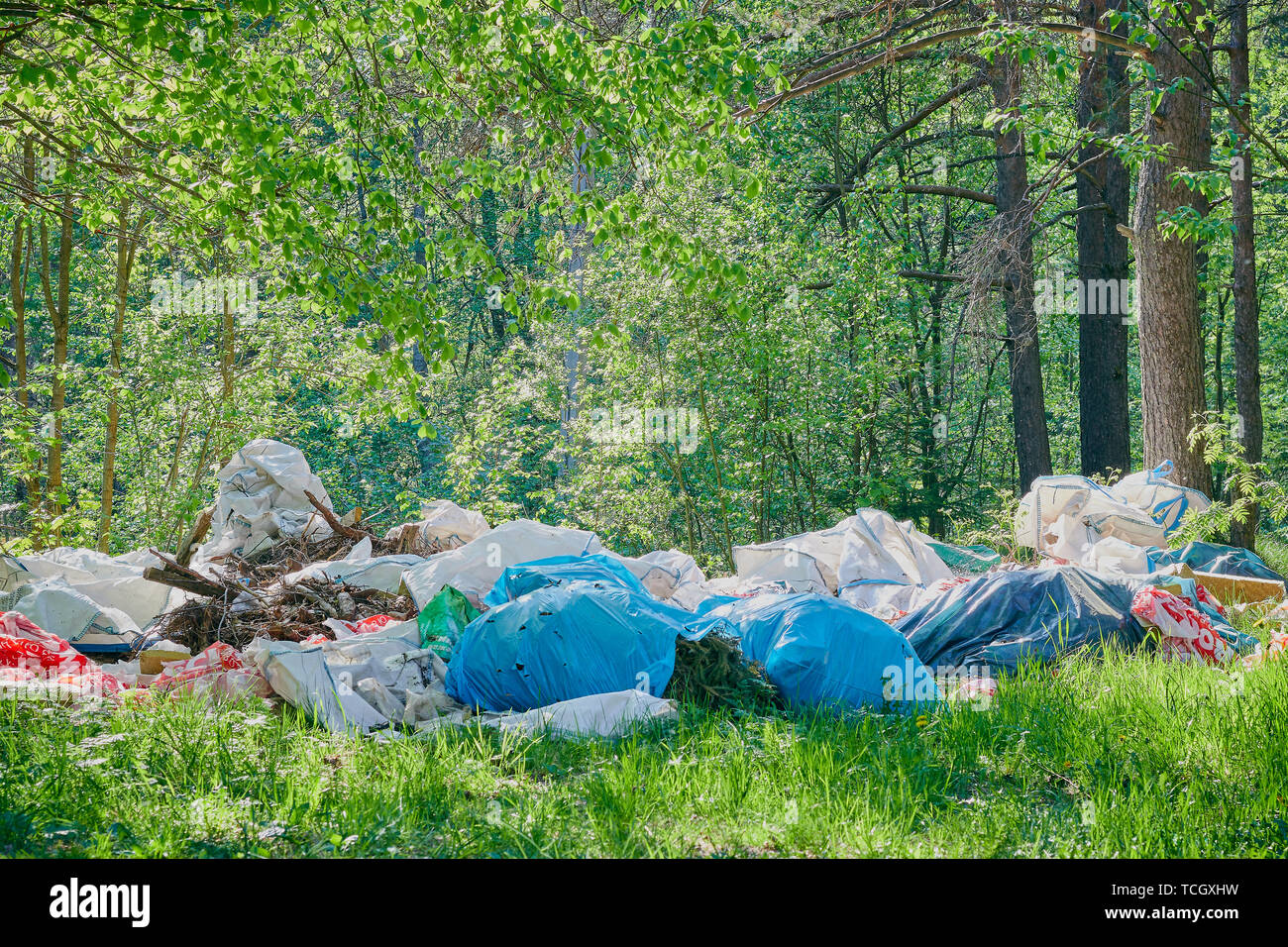 Messy nature hi-res stock photography and images - Alamy