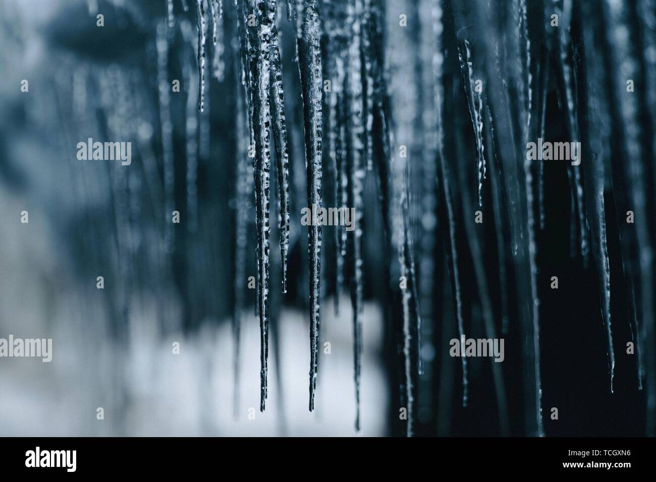 Closeup shot of hanging spiky frozen icicles Stock Photo - Alamy